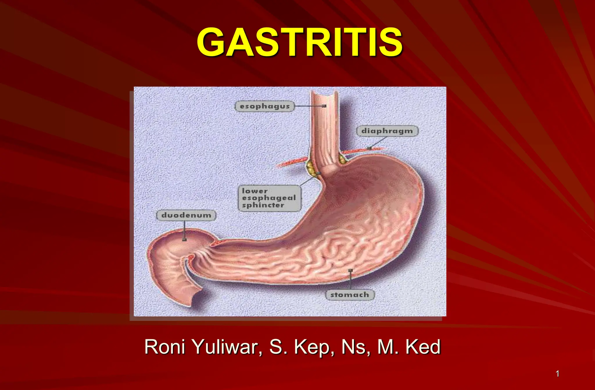 Gastritis April 2015.ppt