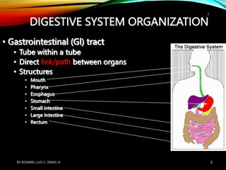 GASTRO-INTESTINAL | PPT