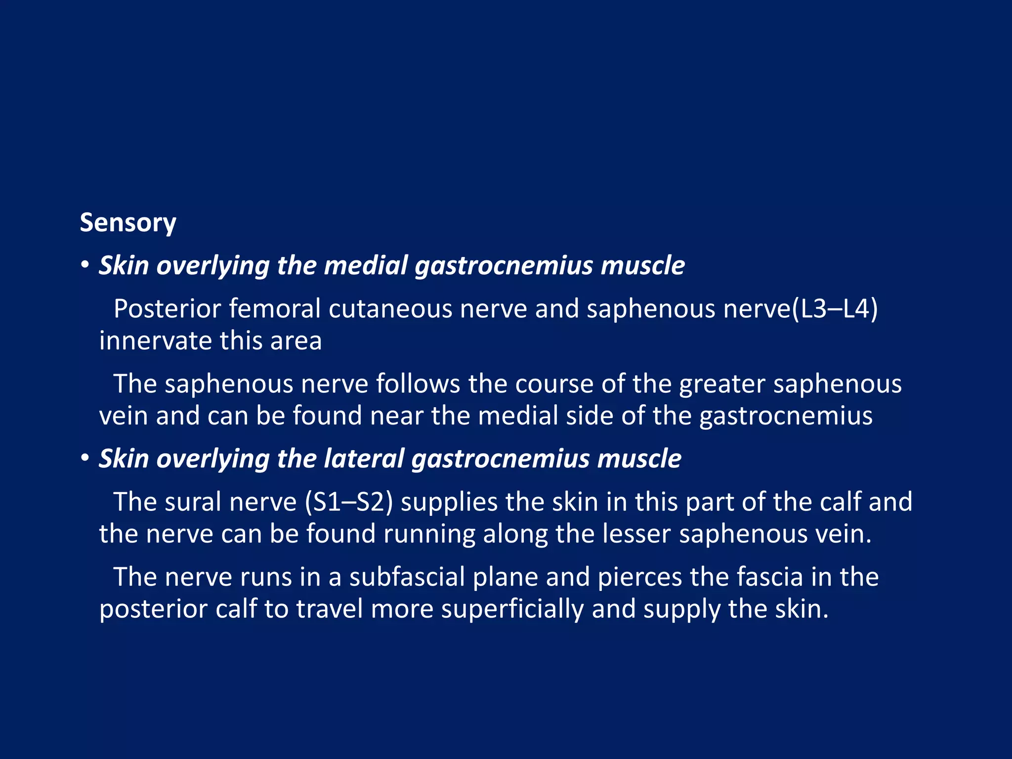Gastrocnemius flap | PPTX