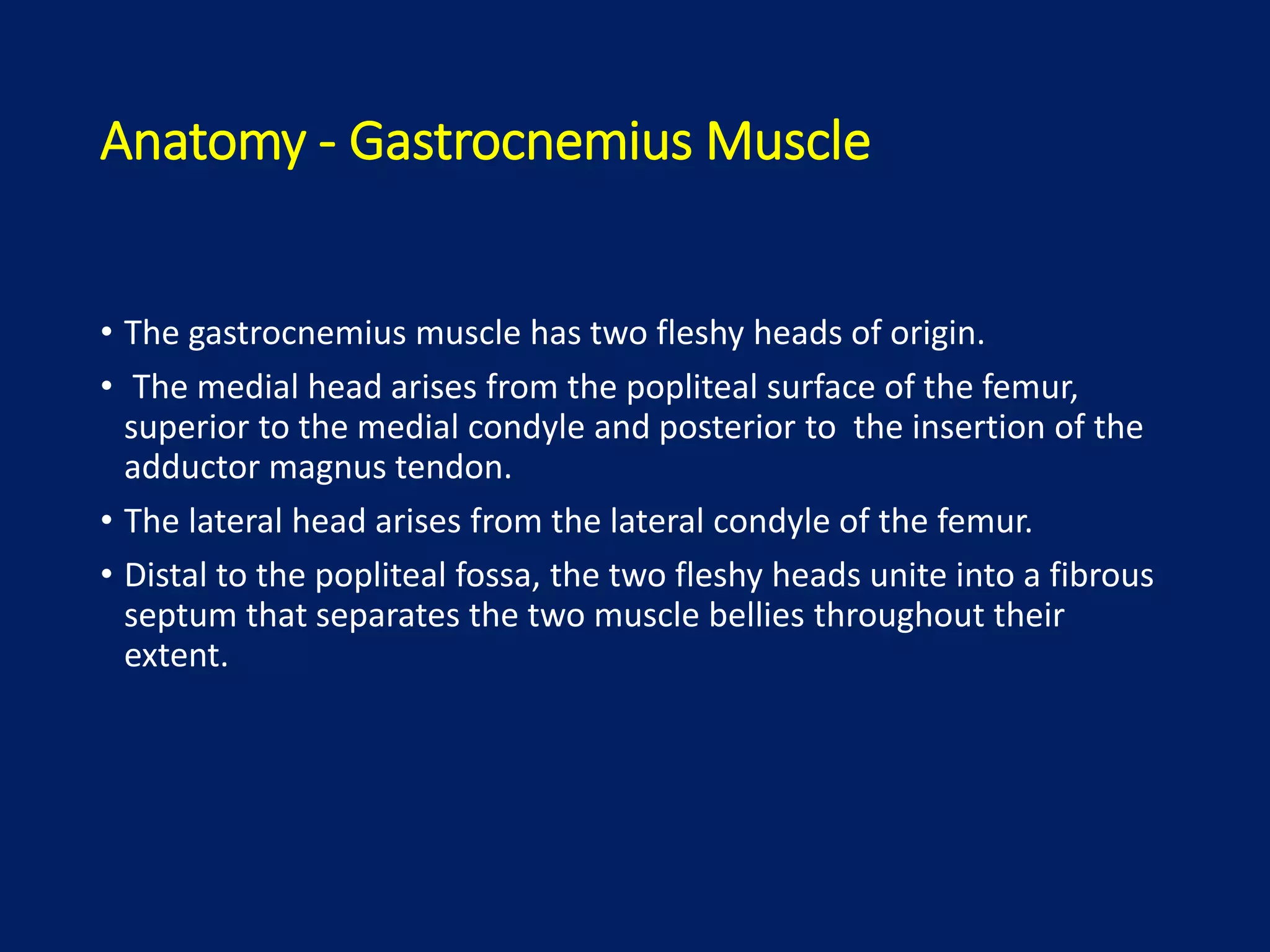 Gastrocnemius flap | PPTX