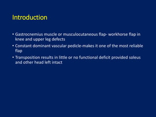 Gastrocnemius flap | PPTX