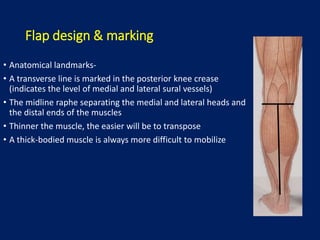 Gastrocnemius flap | PPT