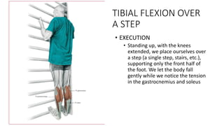 GASTROC STRECTHING.pptx