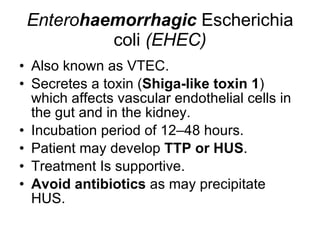 Gastroenteritis | PPT
