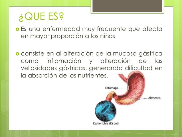 Qu Es Y Cmo Actuar En Casos De Gastroenteritis