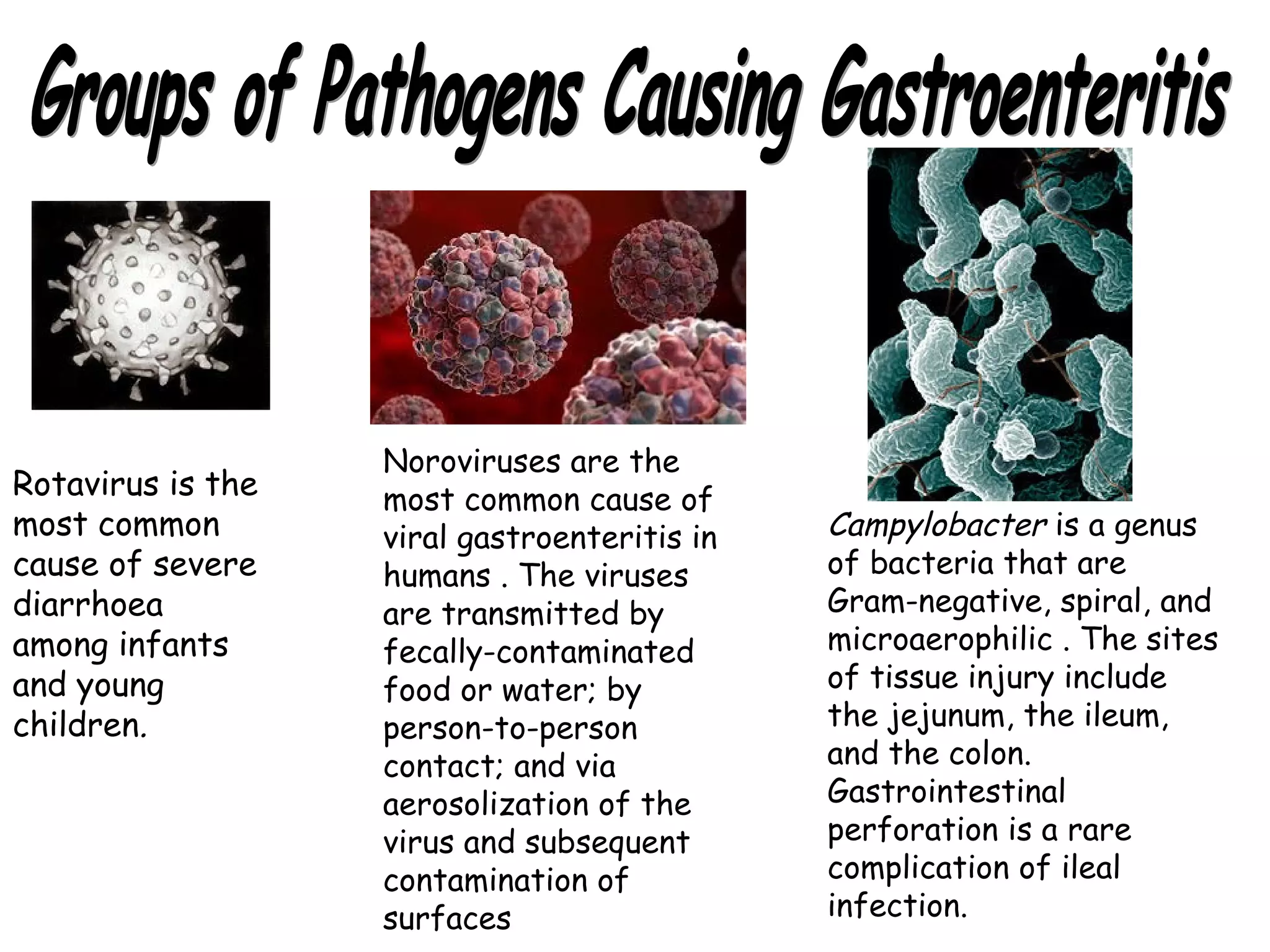 Gastroenteritis | PPT