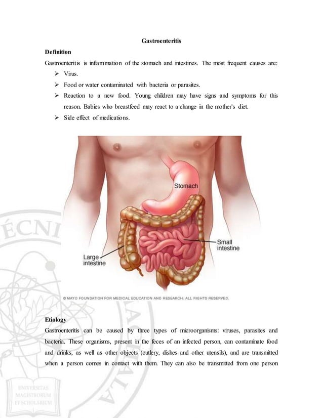 Gastroenteritis | DOCX