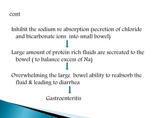 Gastroenteritis | PPTX | Digestive Disorders | Diseases and Conditions