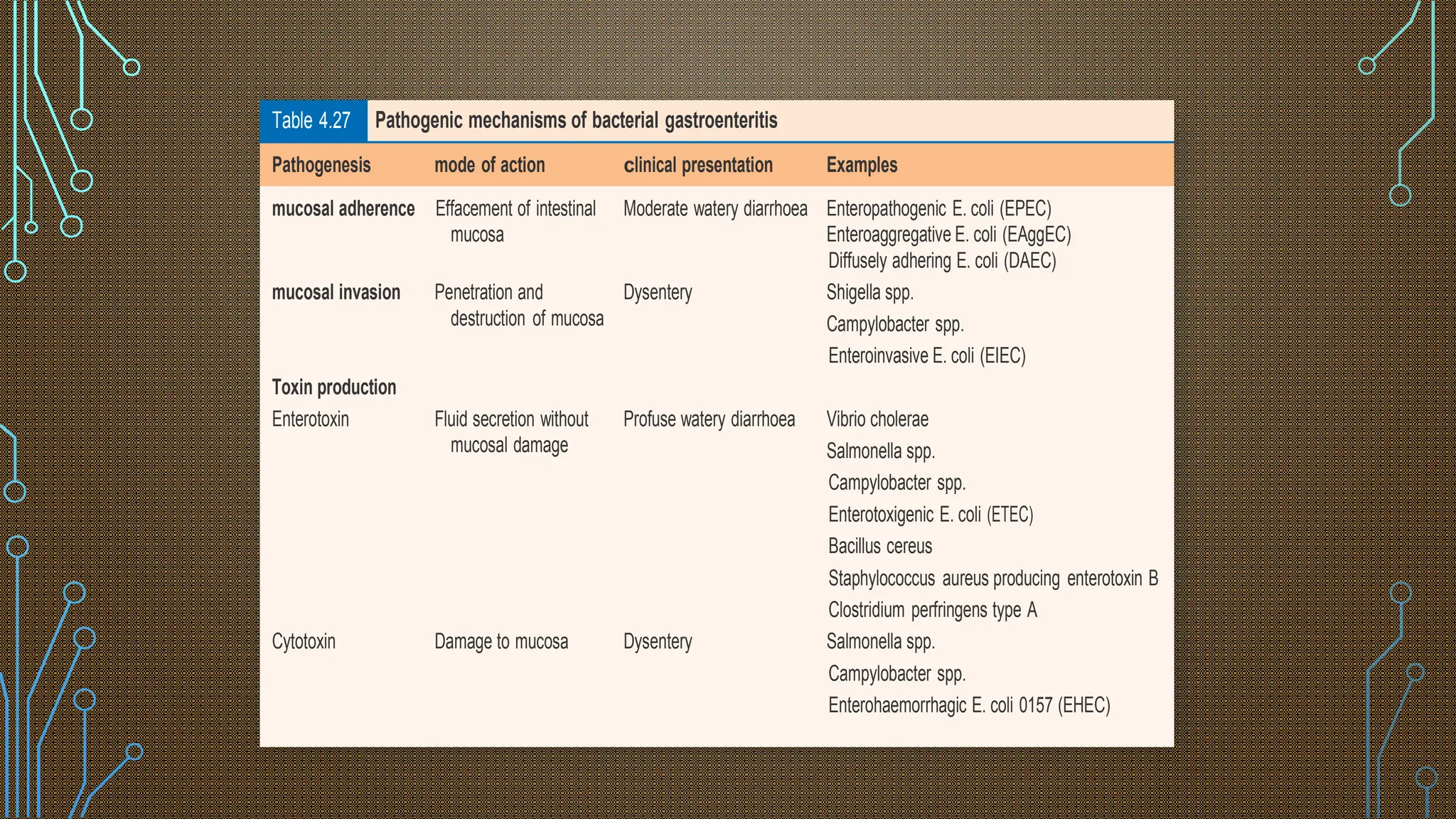 Pharmacotherapy of Gastroenteritis infection.pptx