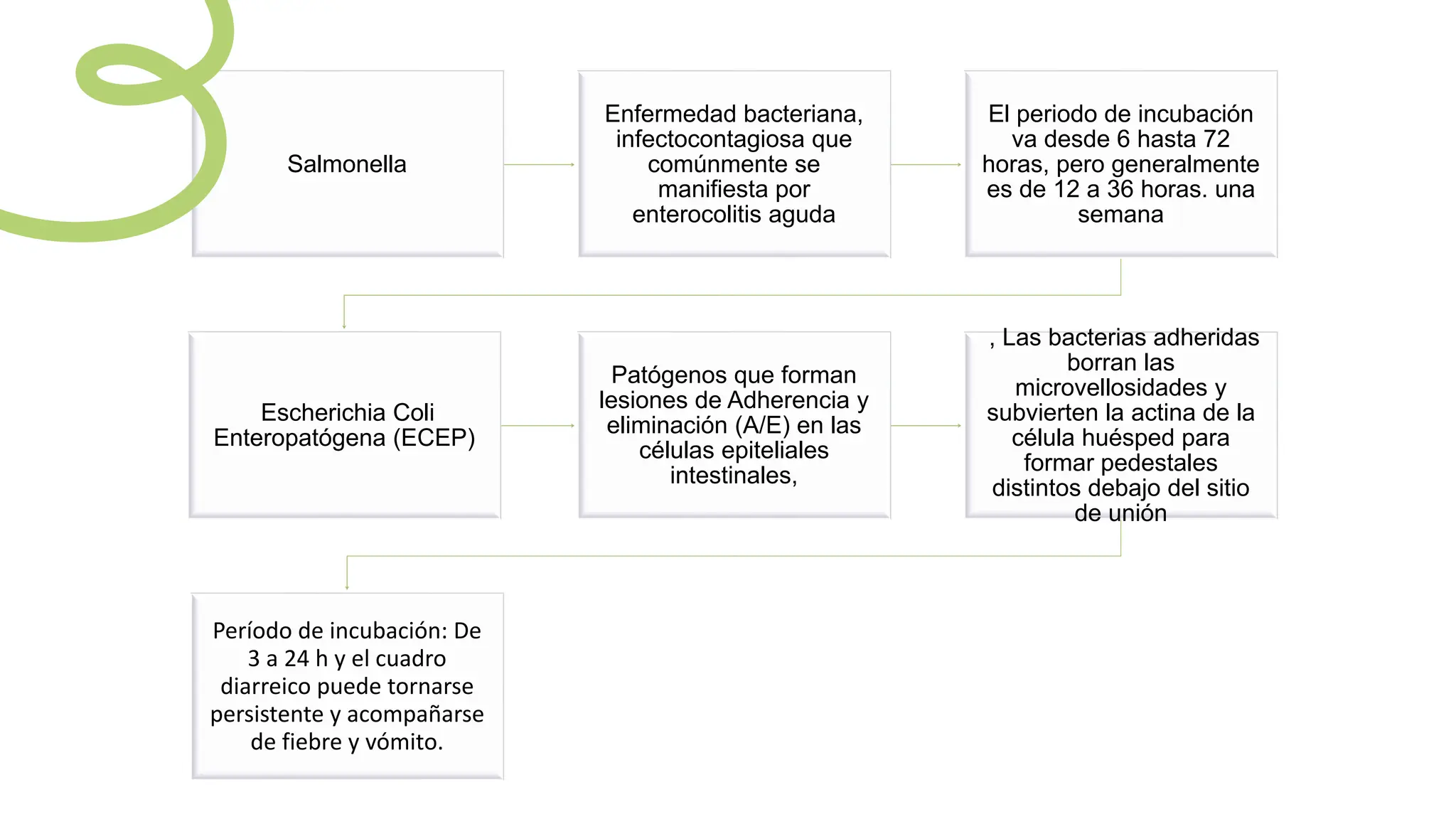 GASTROENTERITIS Tipos de, generalidades, virales | PDF