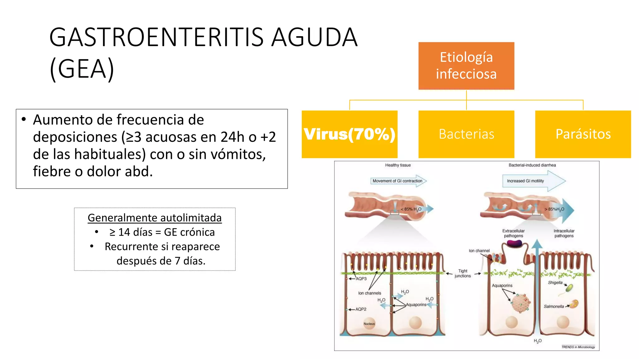 Gastroenteritis aguda | PPT