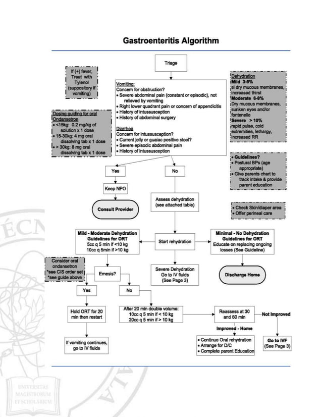Gastroenteritis algorithm | DOCX
