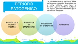 Gastroenteritis infecciosa | PPTX