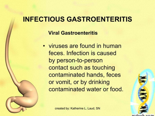 Gastroenteritis ppt | PPTX | Digestive Disorders | Diseases and Conditions