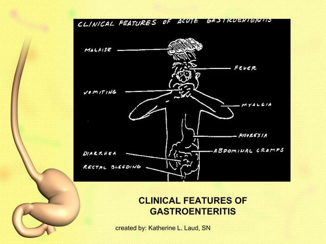 Gastroenteritis ppt | PPTX | Digestive Disorders | Diseases and Conditions