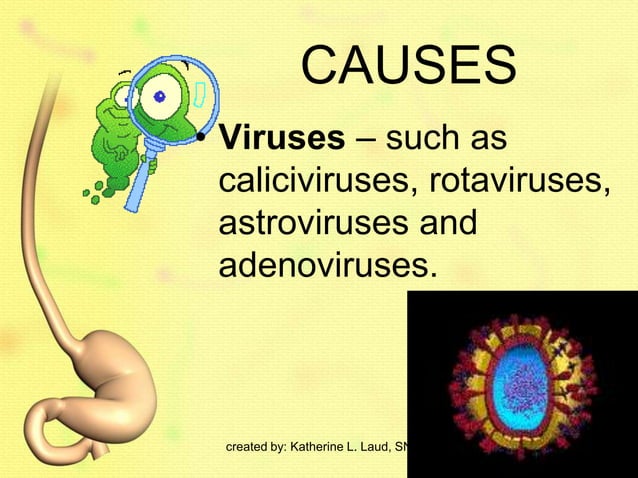 Gastroenteritis ppt | PPTX | Digestive Disorders | Diseases and Conditions