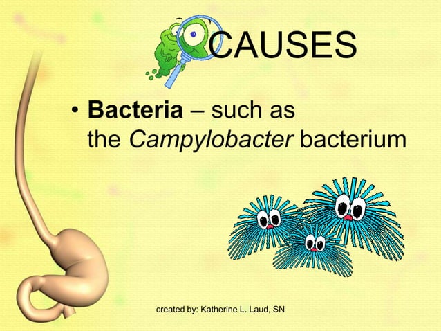 Gastroenteritis ppt | PPTX | Digestive Disorders | Diseases and Conditions