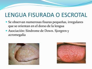 Gastroenterologia primer tema | PPT