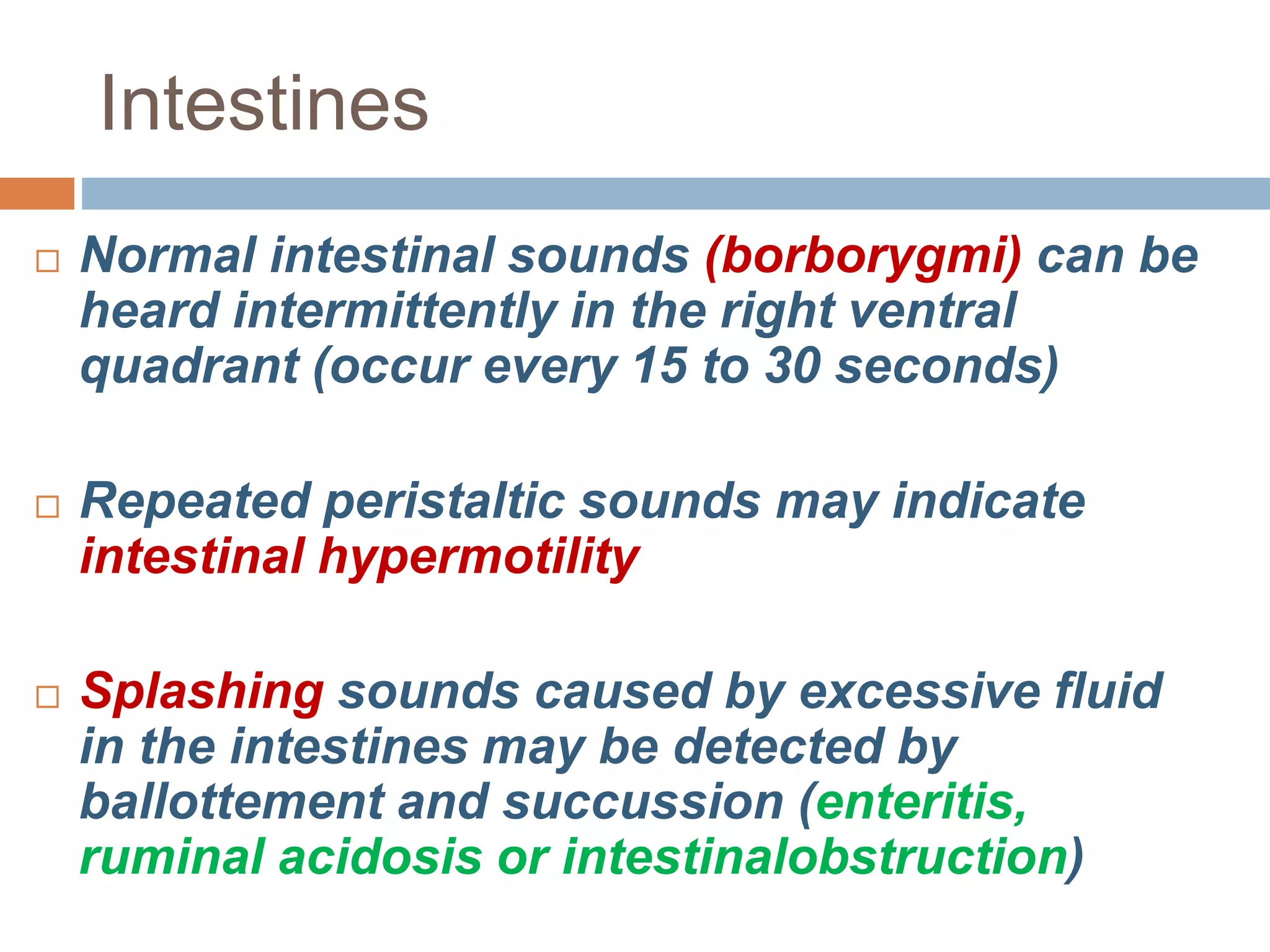 Gastroenterological examination in ruminants | PPTX