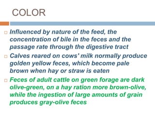 Gastroenterological examination in ruminants | PPTX