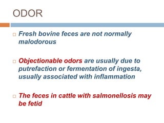 Gastroenterological examination in ruminants | PPTX