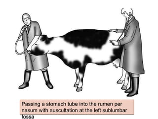 Gastroenterological examination in ruminants | PPTX