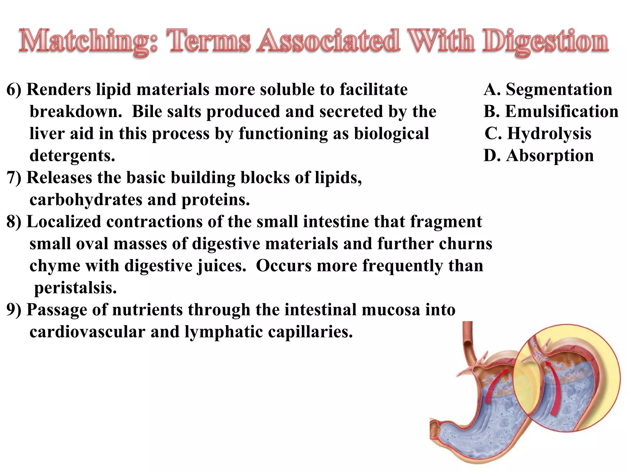 Gastroenterology and urology exam | PPT