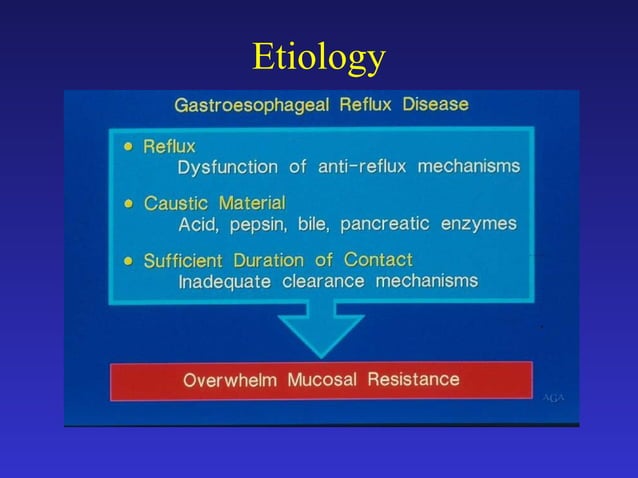 Gastroesophageal Reflux Disease Pathophysiology and Treatment | PPT