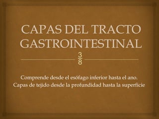 GASTRO FUNCION, generalidades,ingestion, proceso | PPTX