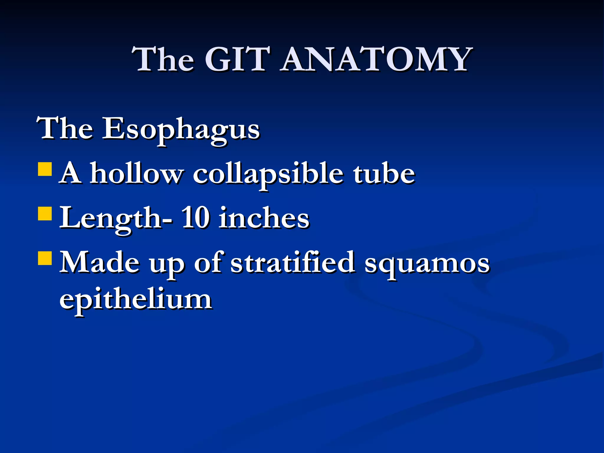 NurseReview.Org Gastrointestinal System | PPT