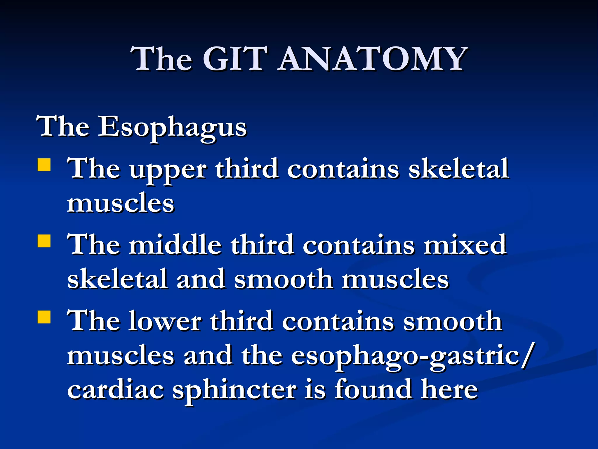 NurseReview.Org Gastrointestinal System | PPT
