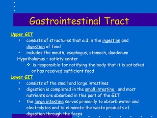 Gastrointestinal System Disorders | PPT