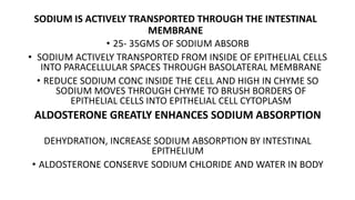 Gastrointestinal absorption | PPTX