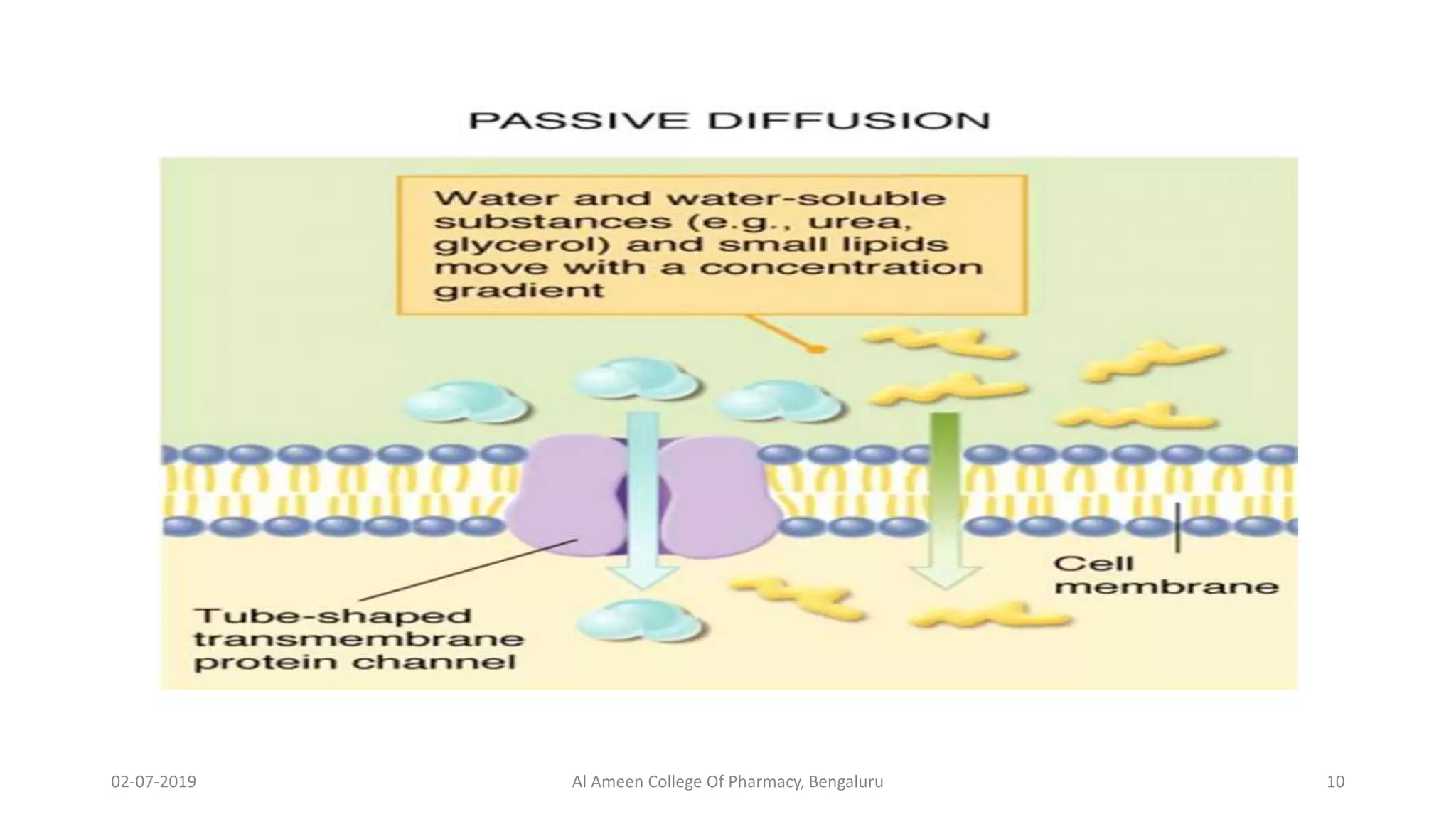 Gastrointestinal absorption of drugs | PPTX