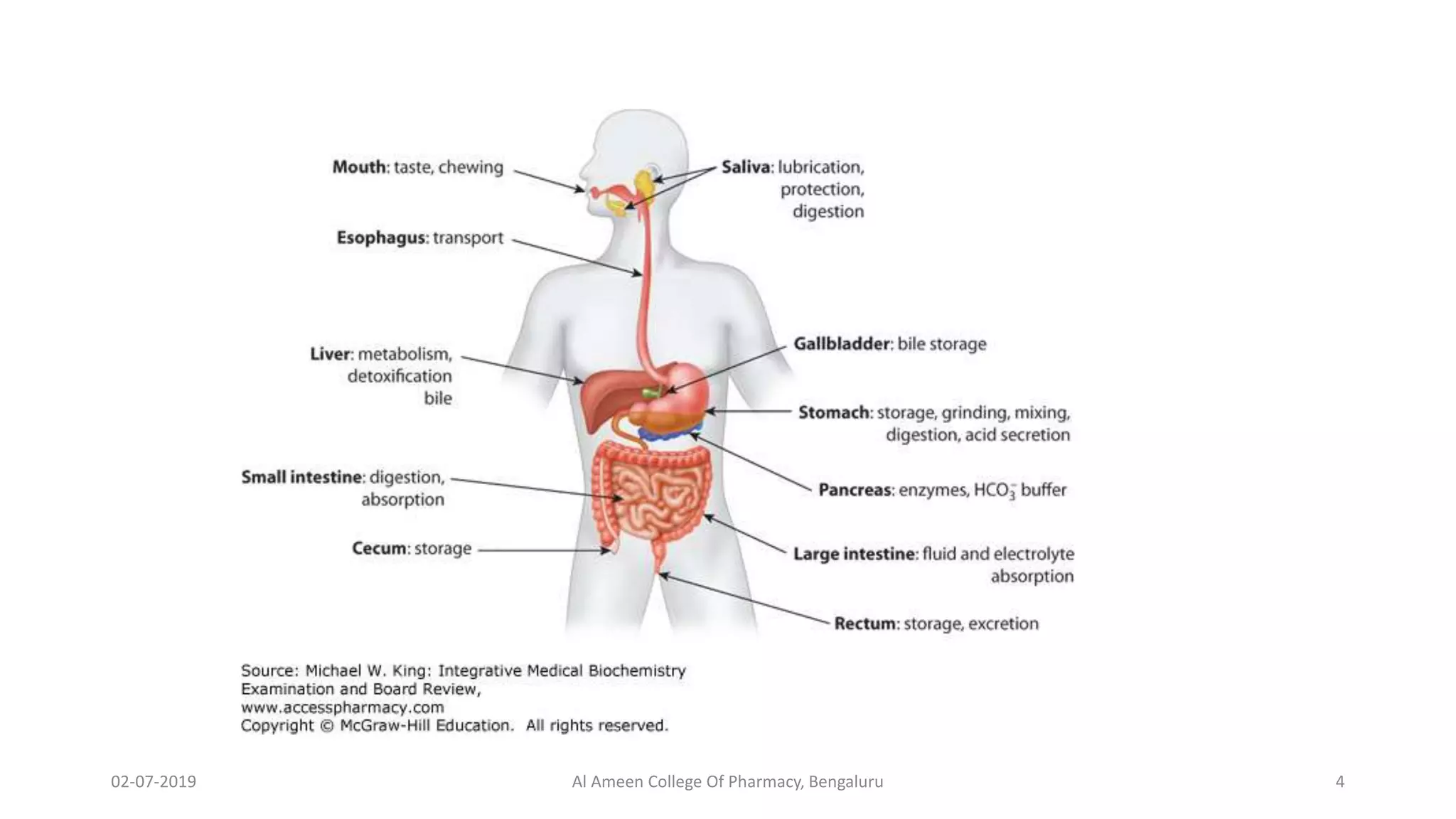 Gastrointestinal absorption of drugs | PPTX