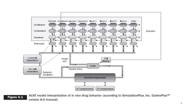 GASTROINTESTINAL ABSORPTION SIMULATION CADD.pptx