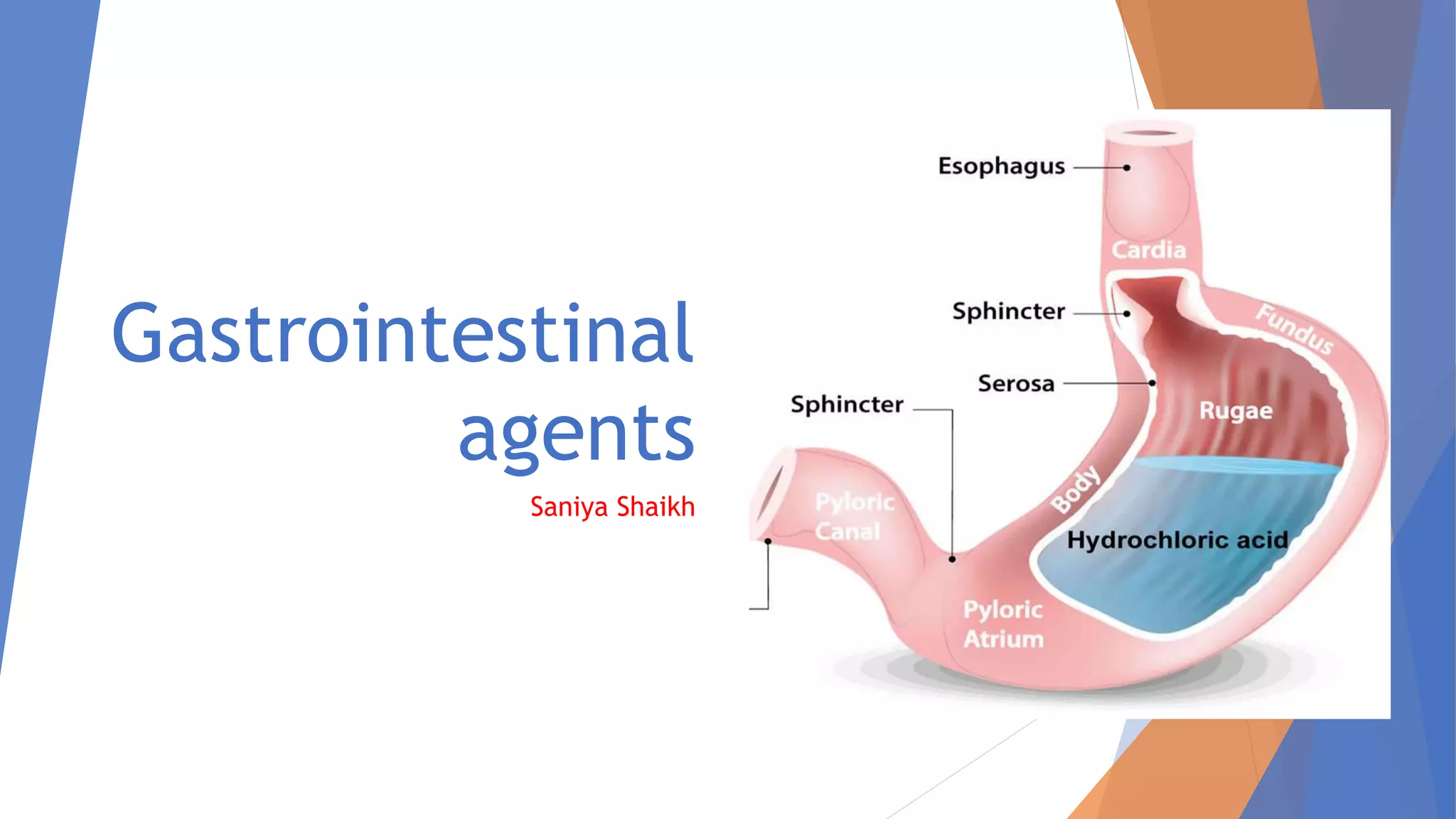 Gastrointestinal agents | PPT