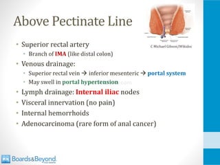 Gastrointestinal Anatomy atf.pdf vgrdggf | PPT