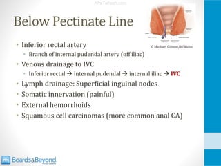 Gastrointestinal Anatomy atf.pdf vgrdggf | PPT