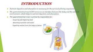 Nutrition and Gastrointestinal tract | PPTX