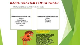Nutrition and Gastrointestinal tract | PPTX