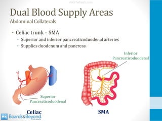Gastrointestinal Blood Supply atf.pdfhrgh | PPT