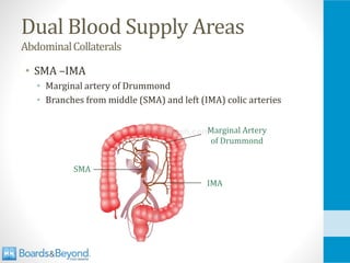 Gastrointestinal Blood Supply atf.pdfhrgh | PPT