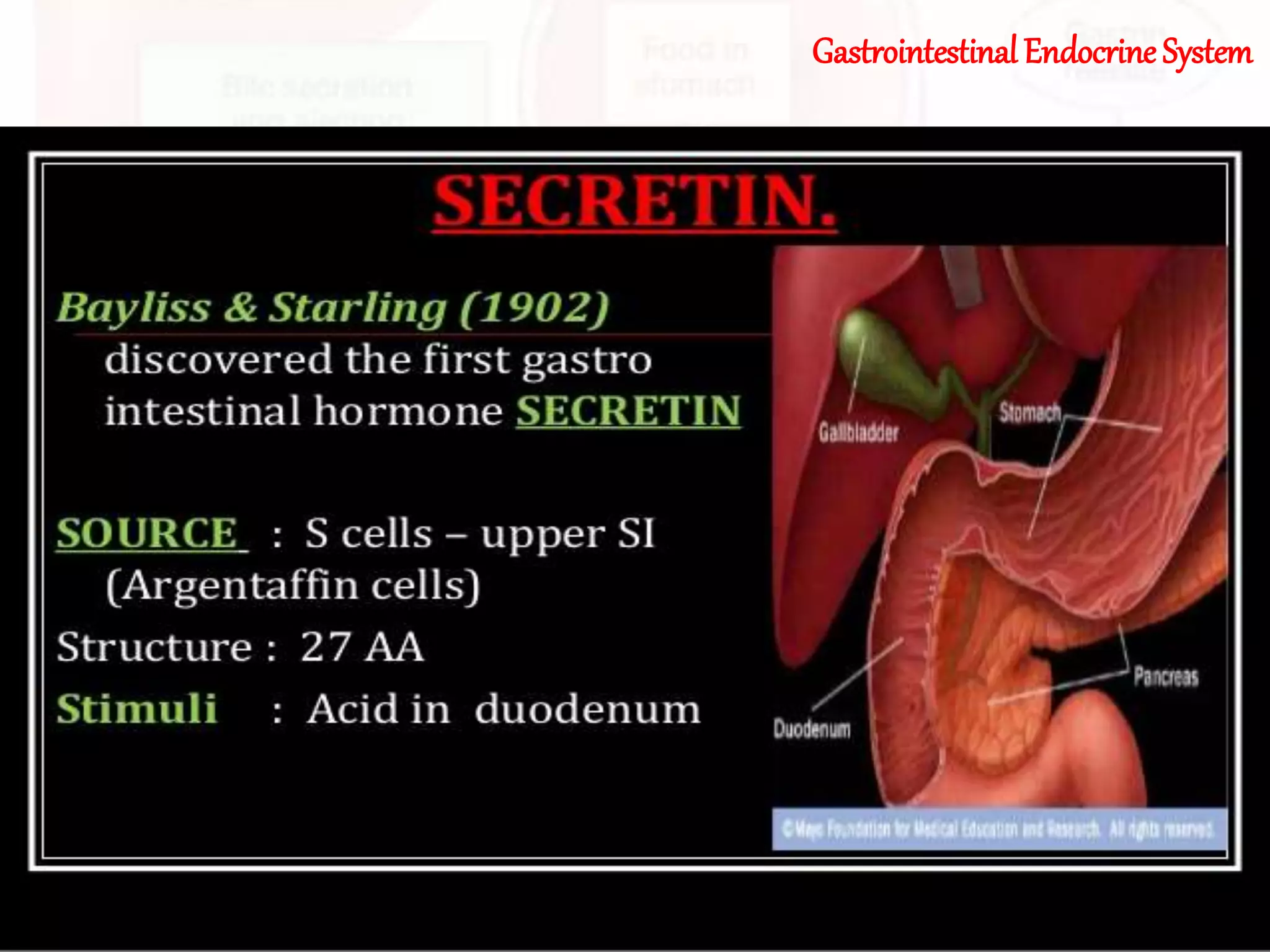 Gastrointestinal endocrine system ppt | PPTX