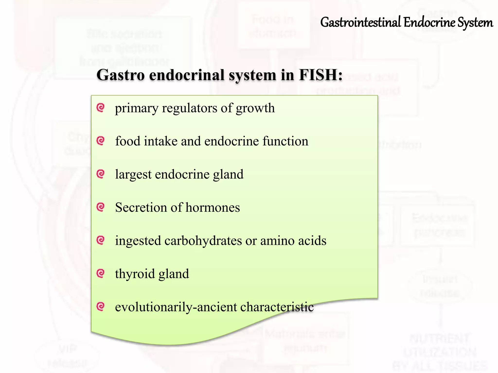 Gastrointestinal endocrine system ppt | PPTX