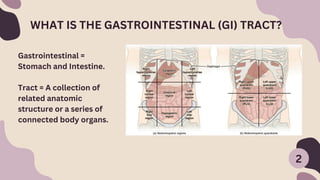 Radiological Procedures of the Gastrointestinal (GI) Tract | Barium ...