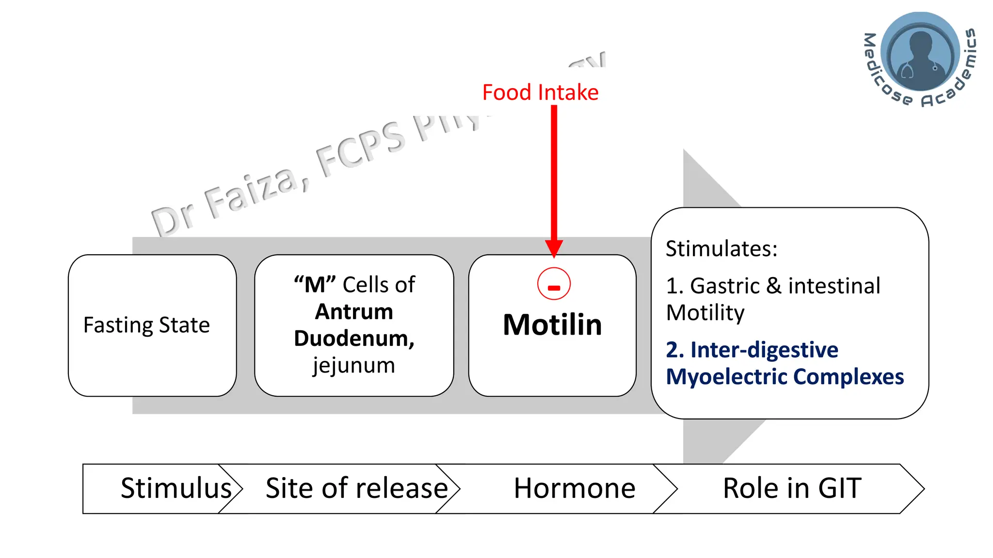 Physiology Of Gastrointestinal Hormonespdf 7410