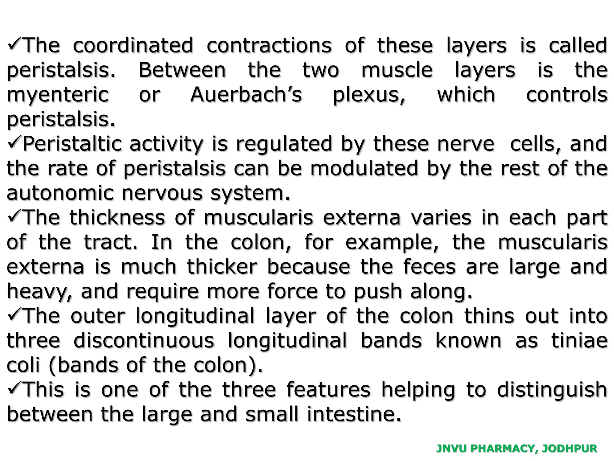 GASTROINTESTINAL TRACT LAYERS | PPTX