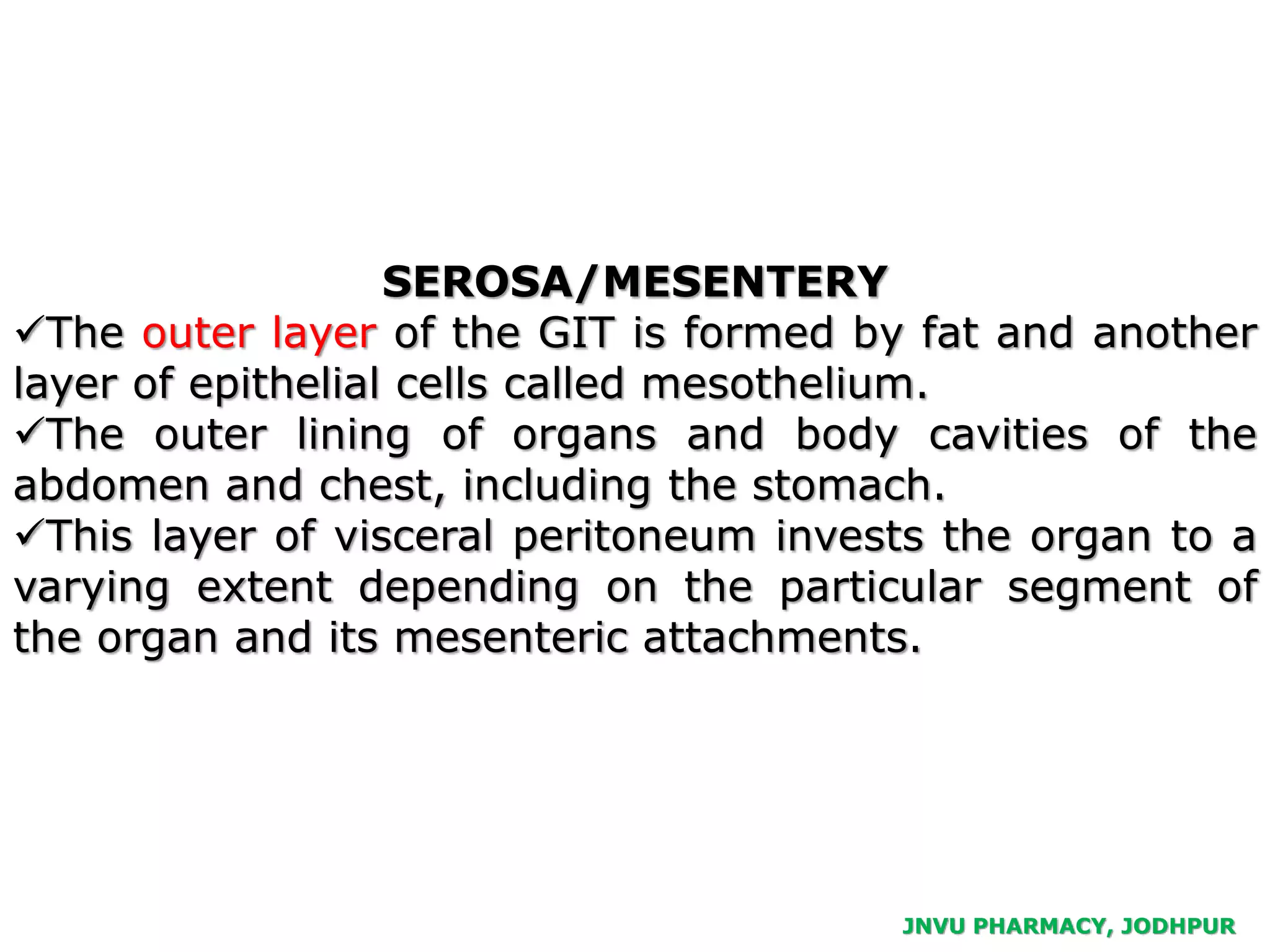 GASTROINTESTINAL TRACT LAYERS | PPTX