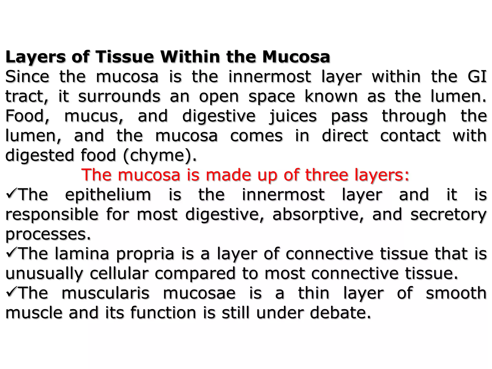 GASTROINTESTINAL TRACT LAYERS | PPTX